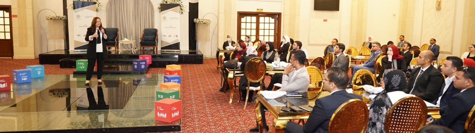 3 Egyptian development initiatives, projects successfully included on ...