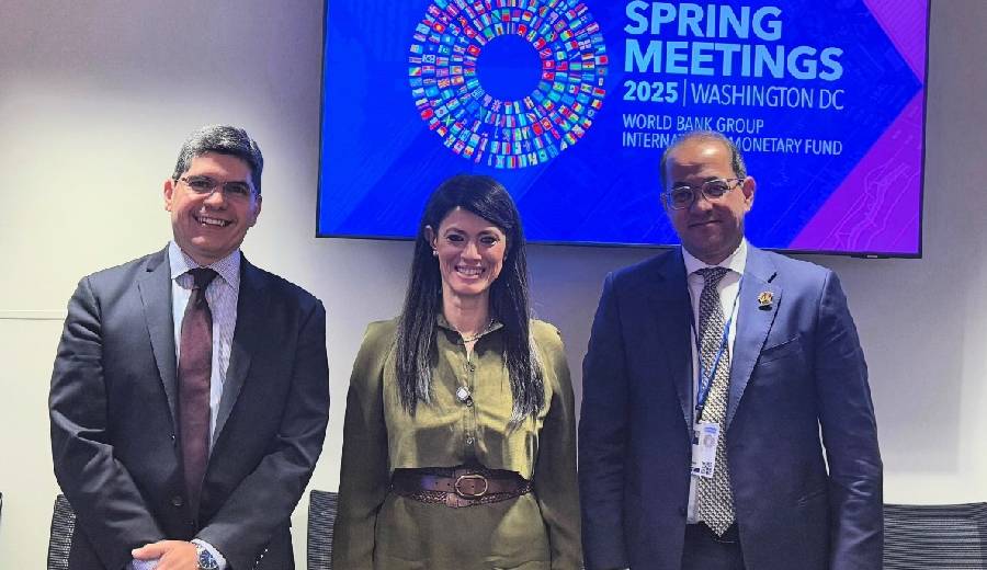 Dr. Rania Al-Mashat Holds a Series of Bilateral Meetings with ...